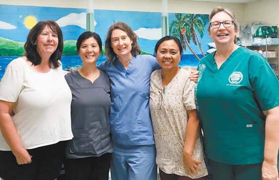 Nursing students, faculty doing their part in pandemic | News, Sports ...